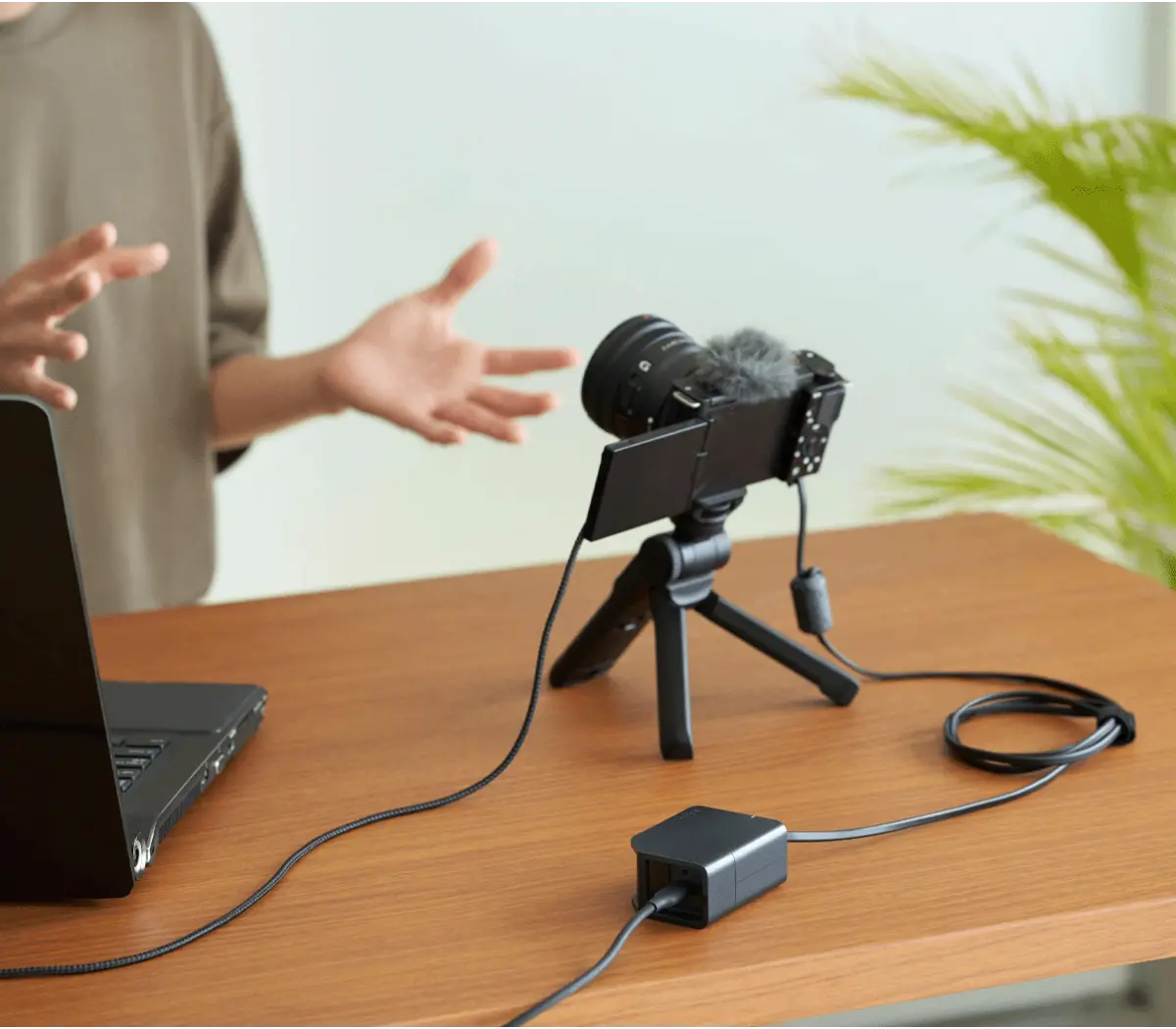 Sony Shooters to Get Two New Official Camera Power Supply Solutions: A ...